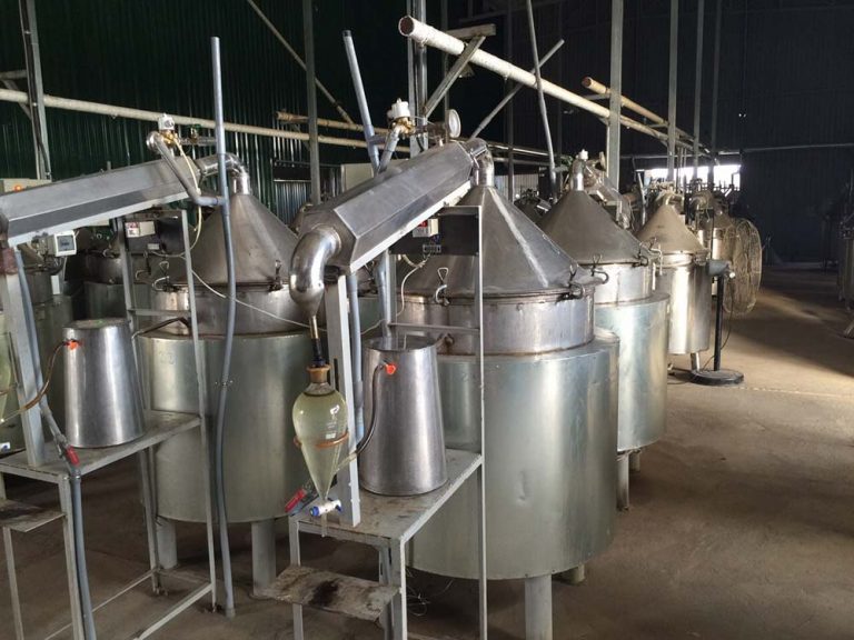 Construction project of an industrial factory for the production of ...